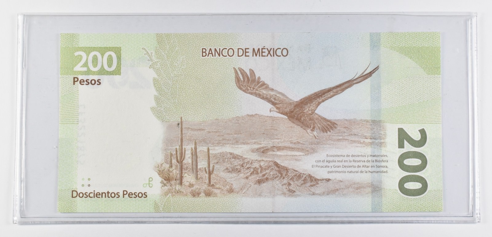 Historic World Bank Note 2019 Mexico 200 Pesos Collectible Currency ...