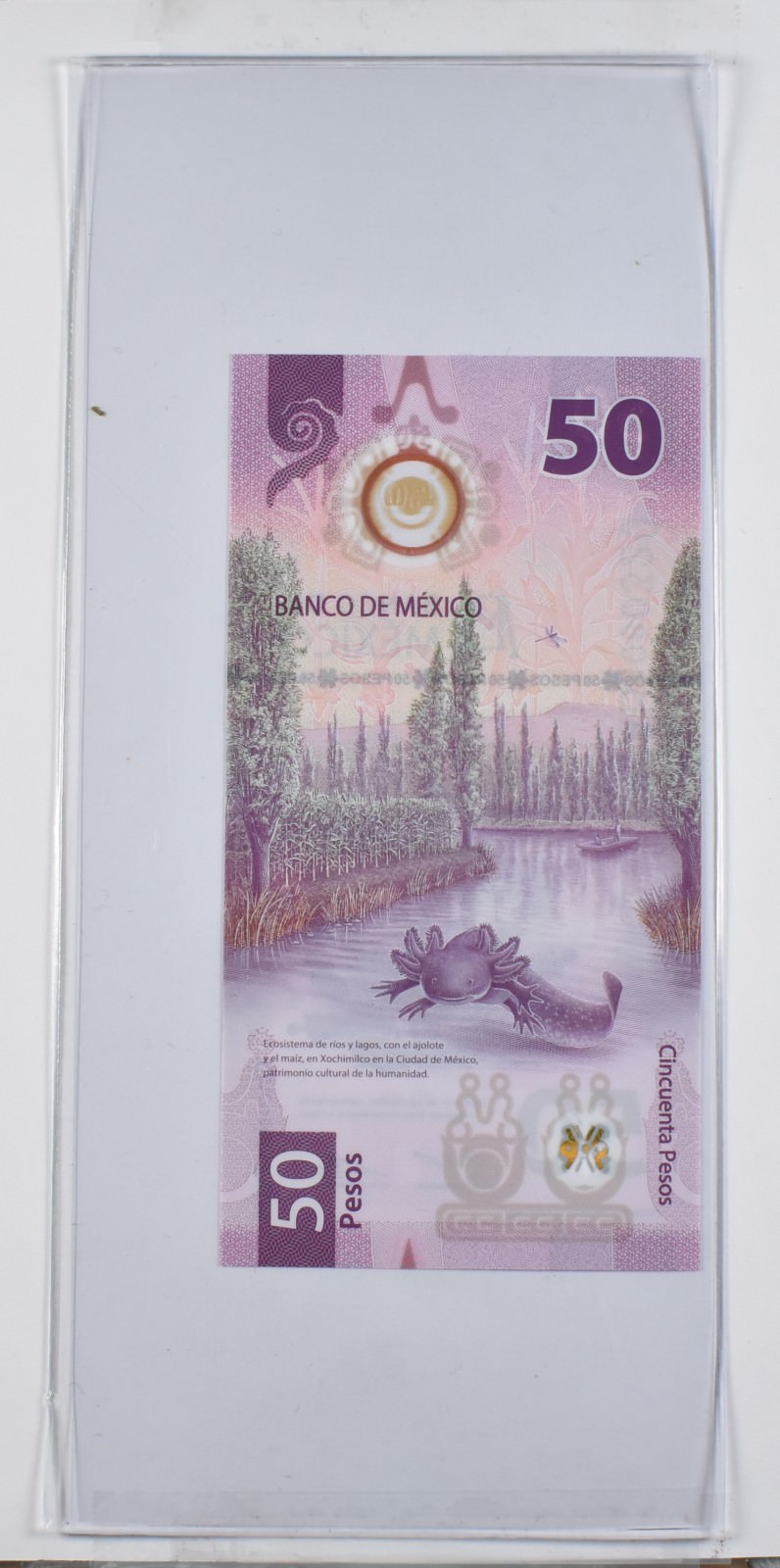 Historic World Bank Note 2021 Mexico 50 Pesos Collectible Currency ...