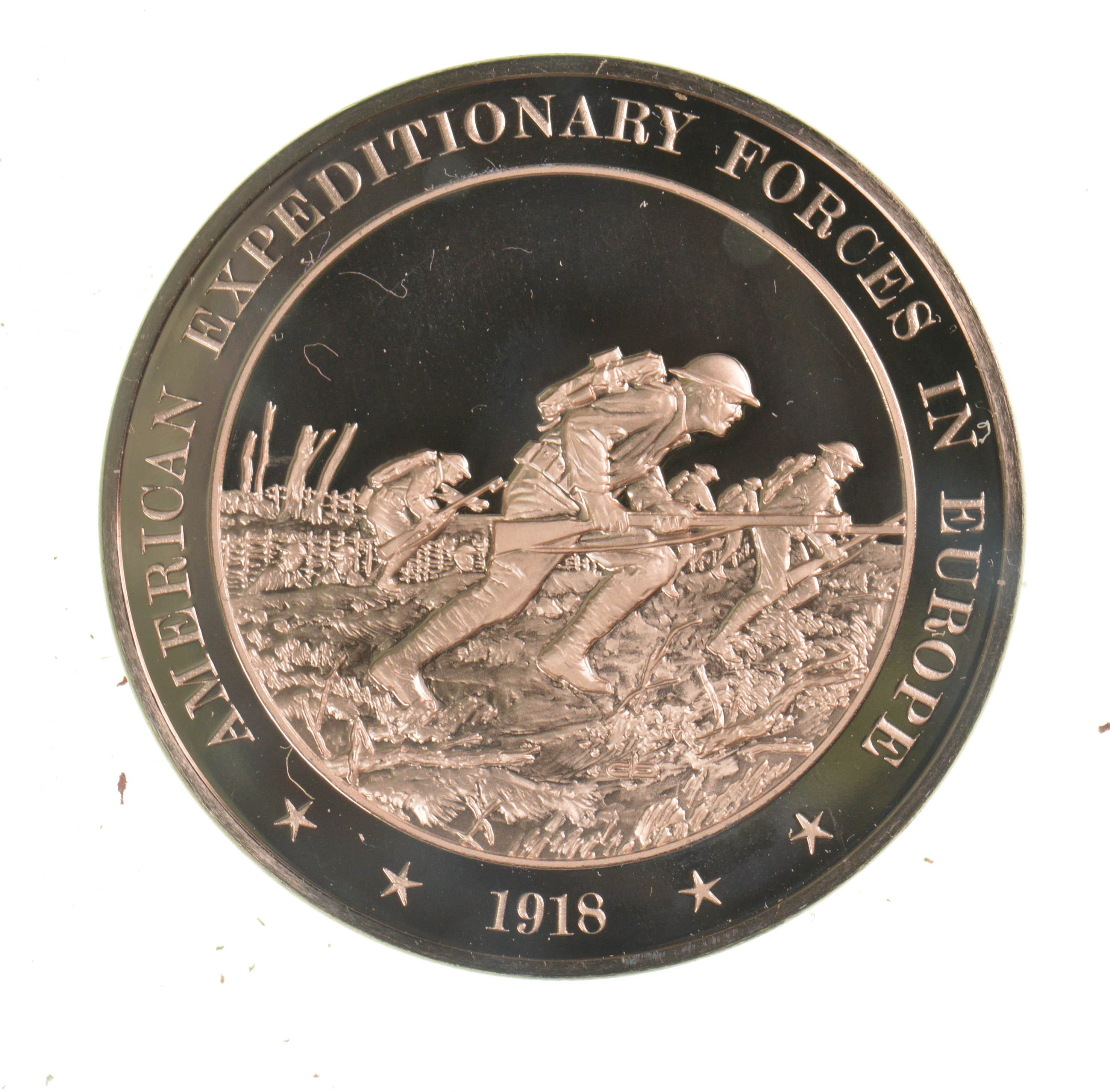 HUGE Bronze Medal Depicting American Expeditionary Forces In Europe ...