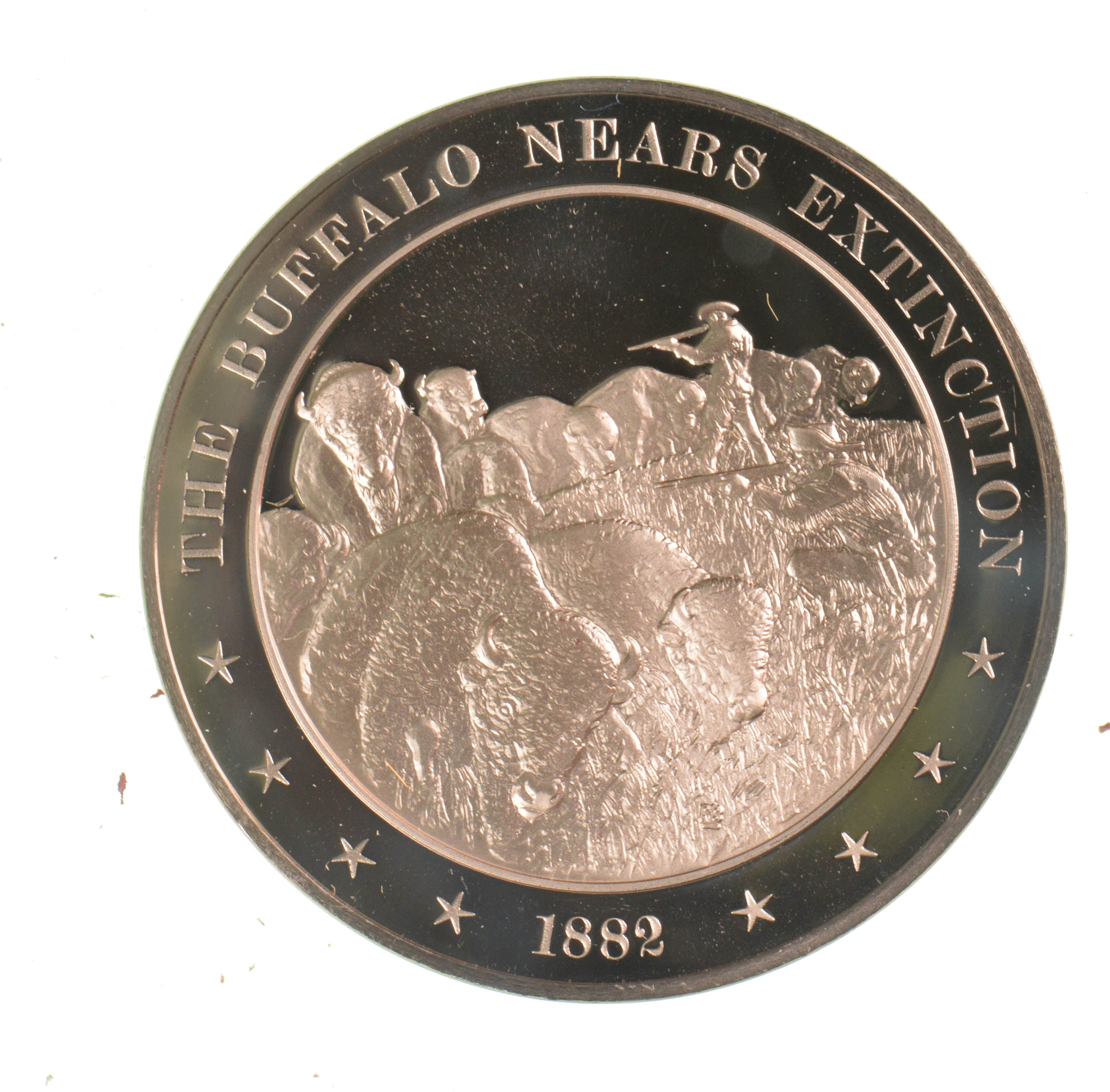 HUGE Bronze Medal Depicting The Buffalo Nears Extinction | Property Room