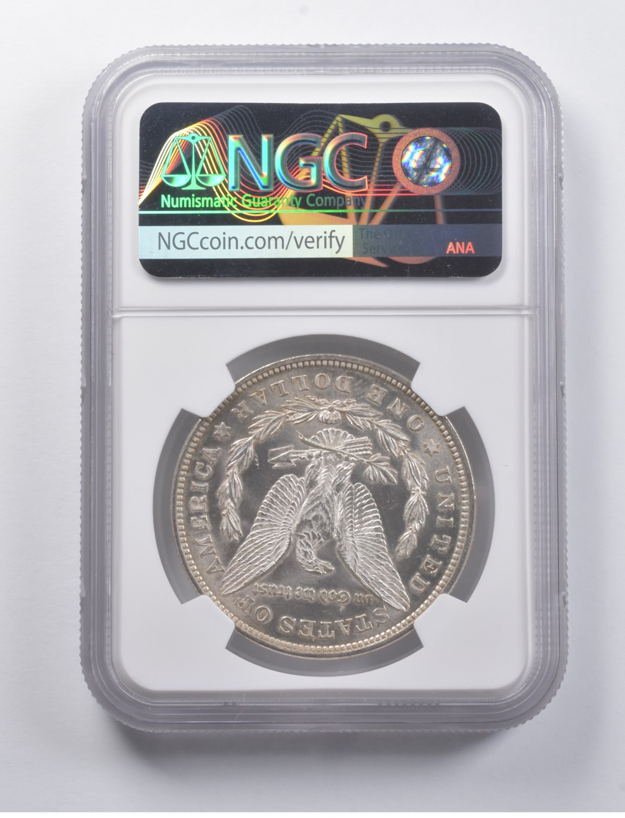 MINT ERROR MS62 1921 Morgan Silver Dollar OBV Lamination 100th ...