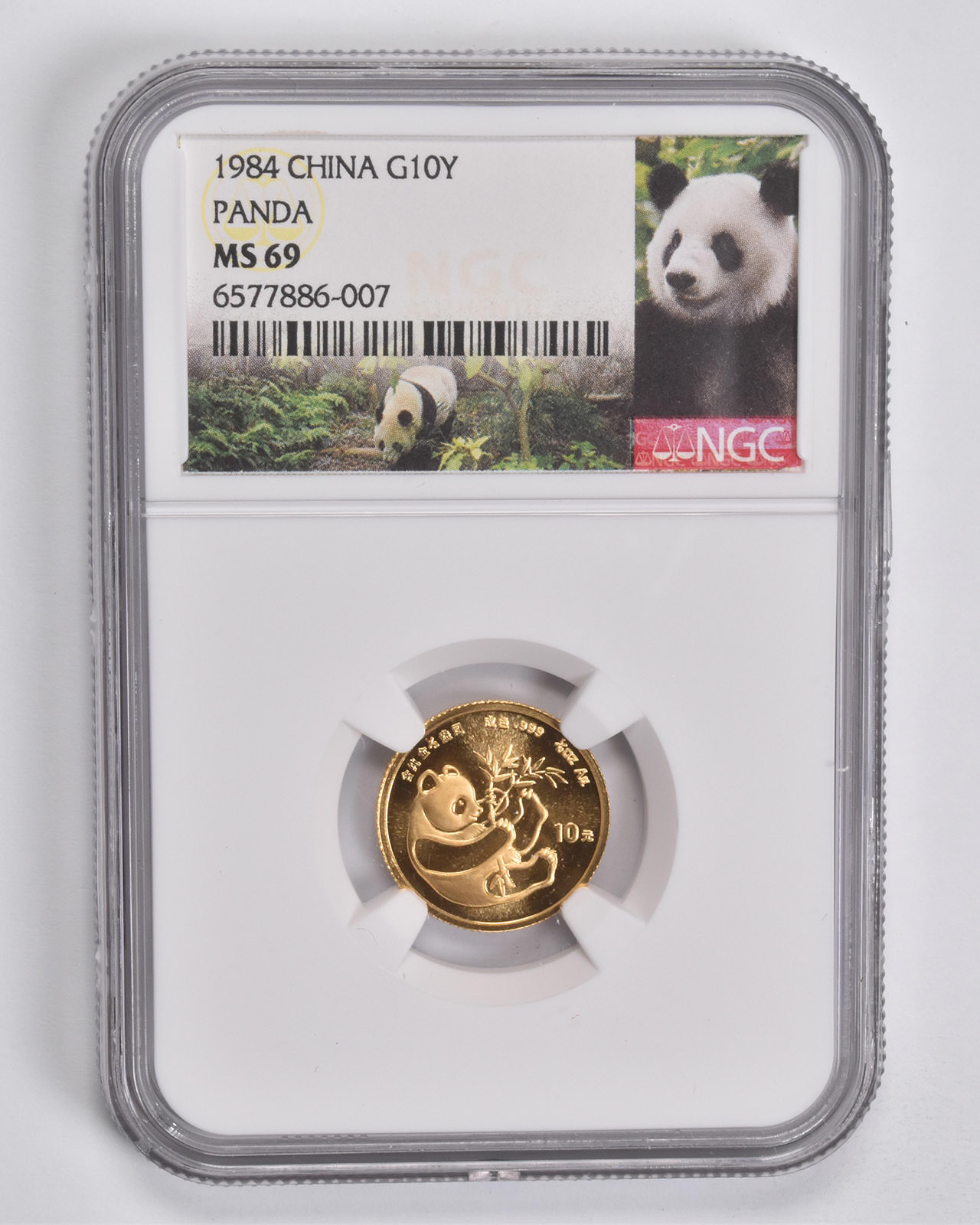 MS69 1984 China 10 Yuan 1/10 Oz. .999 Fine Gold Panda NGC | Property Room