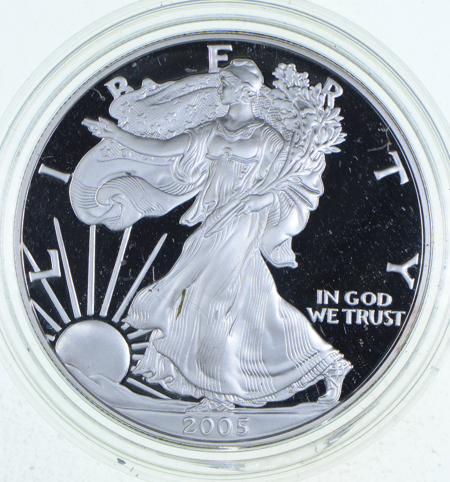 PROOF - NICE - 2005-W American Silver Eagle - DEEP CAMEO Proof - Rare ...