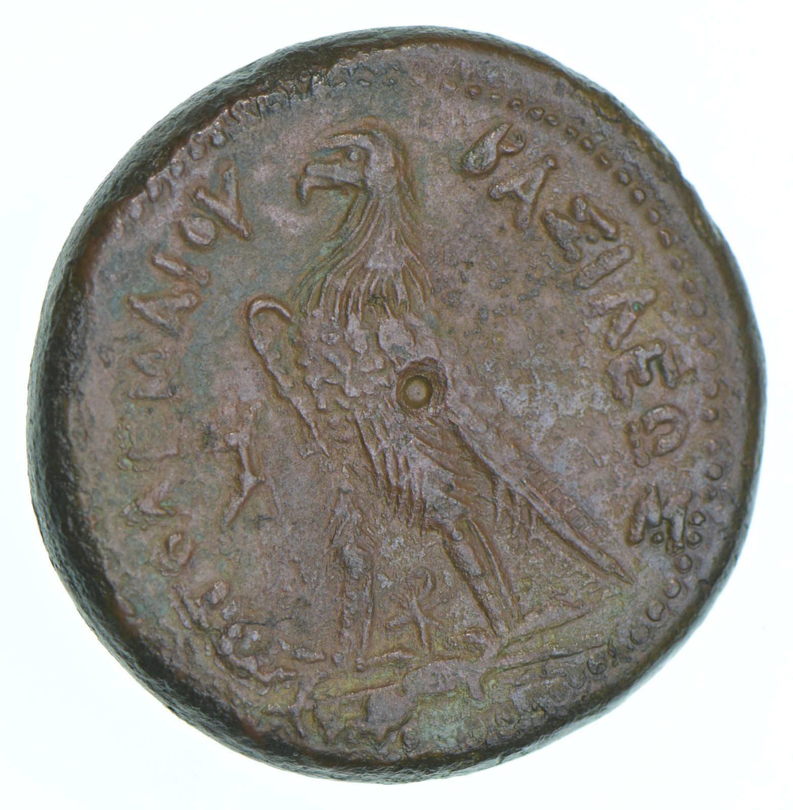 Ptolemaic Kingdom - Ptolemy II AE Zeus Ammon Reverse Eagle - Ancient ...