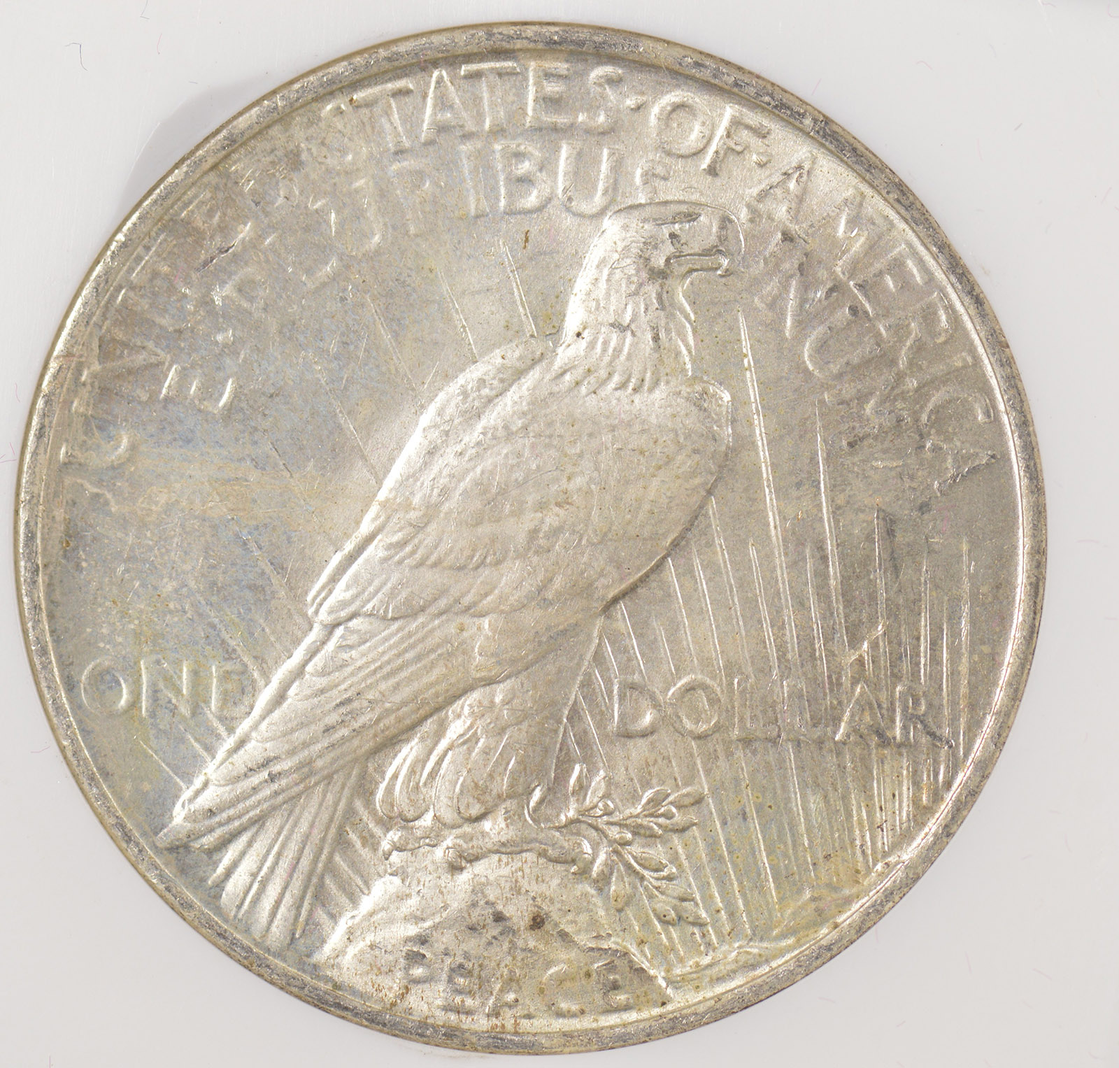 Rare 'Binion Collection' Graded Silver Dollar - NGC - Historic Coin ...