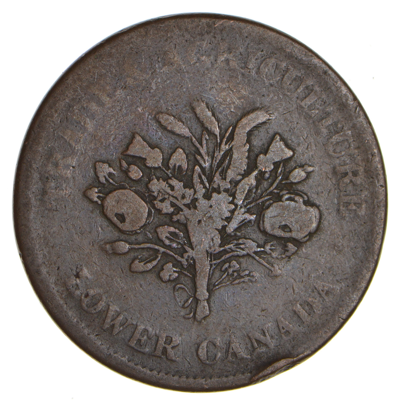 RARE Canadian Bank Token No Date - Early Copper Coin | Property Room