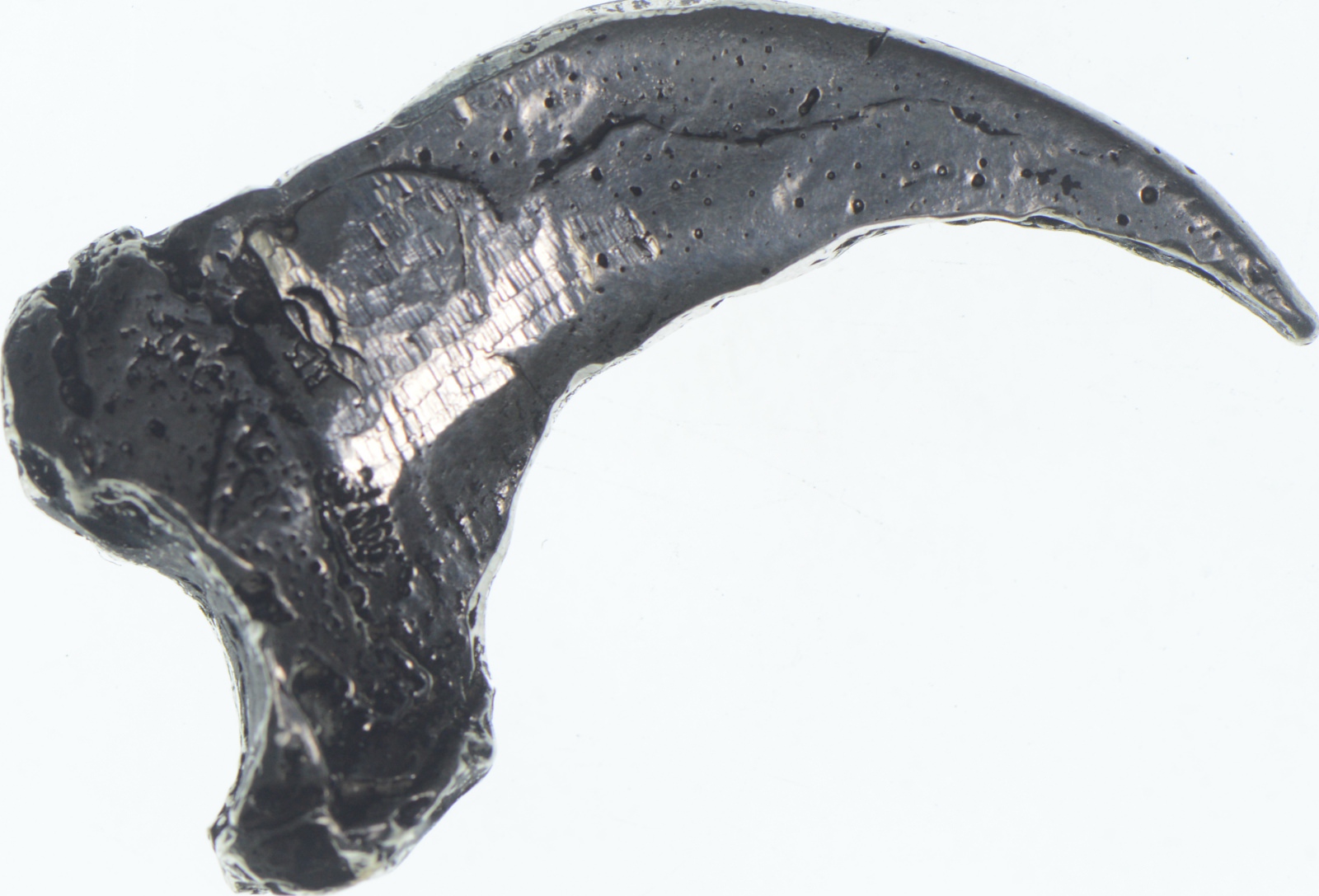 Rare Silver 21.3 Grams Dinosaur / Monster Claw Bar .999 Fine Silver ...
