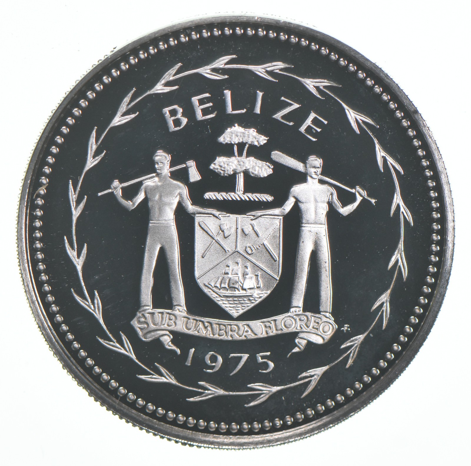 SILVER - Roughly the Size of a Quarter - 1975 Belize 25 Cents - World ...