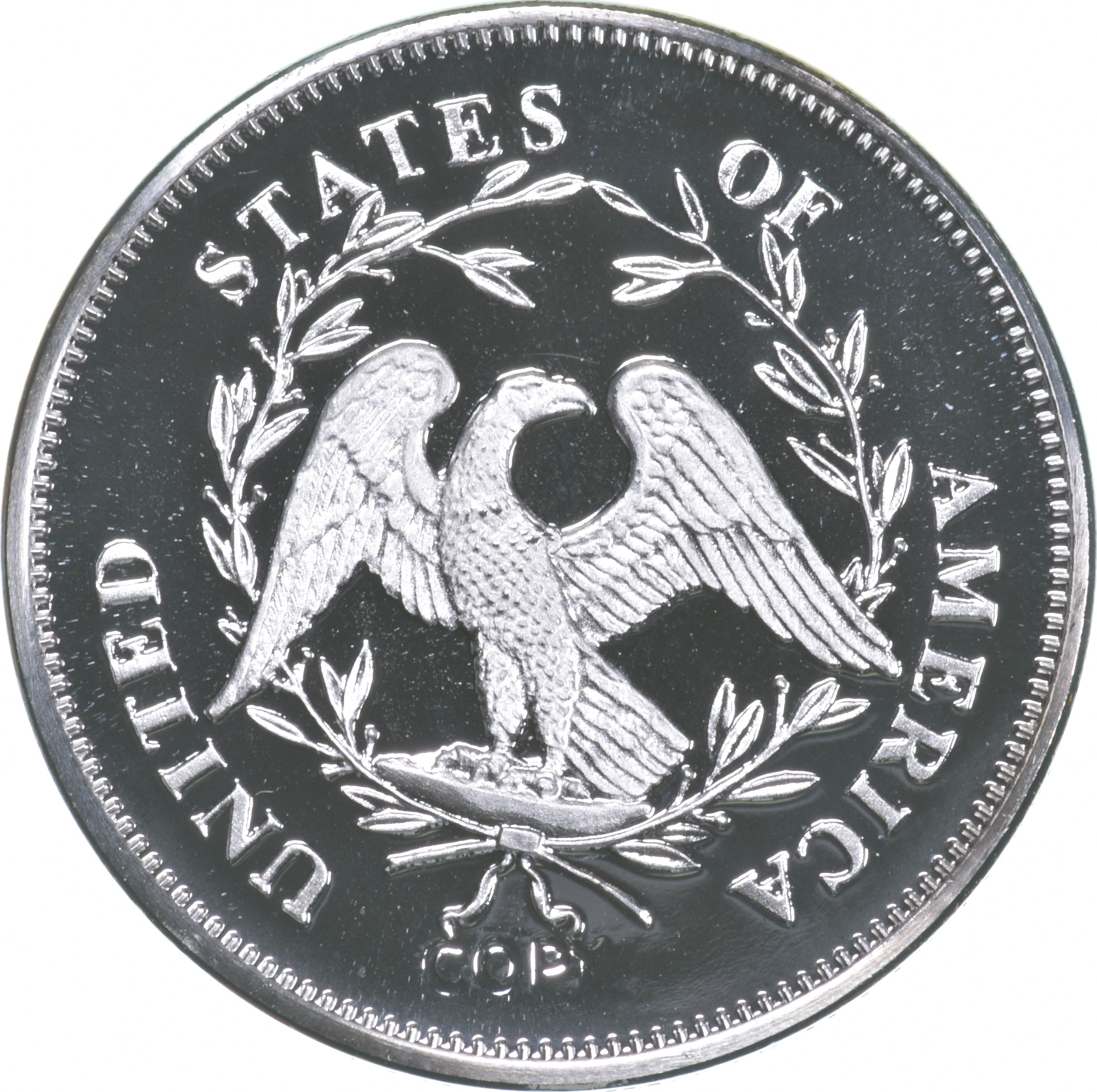 United States Commemorative Gallery - Restrike - Beautiful Detail ...