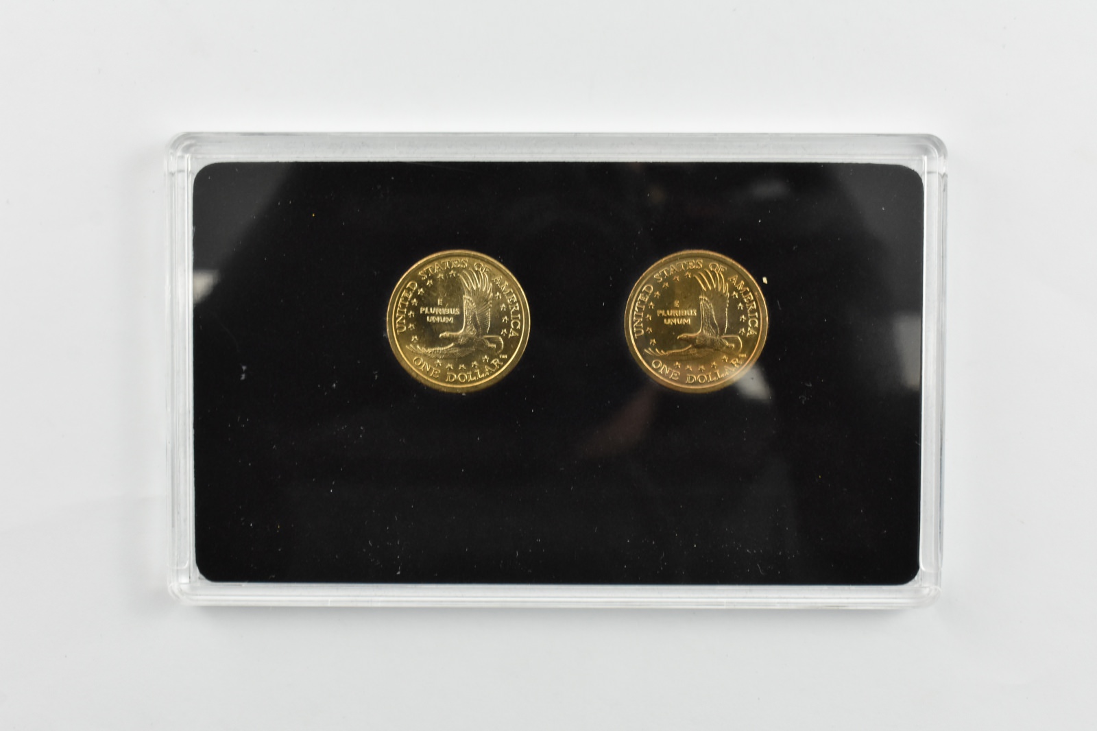 Westward Journey Set - 2005 Sacagawea Dollar | Property Room