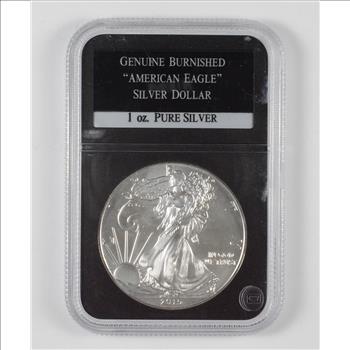 GENUINE BURNISHED 2015-W American Silver Eagle - PCS - Fancy Display ...