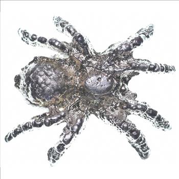 Rare Silver 30.9 Grams Tarantula 3D Bar .999 Fine Silver | Property Room