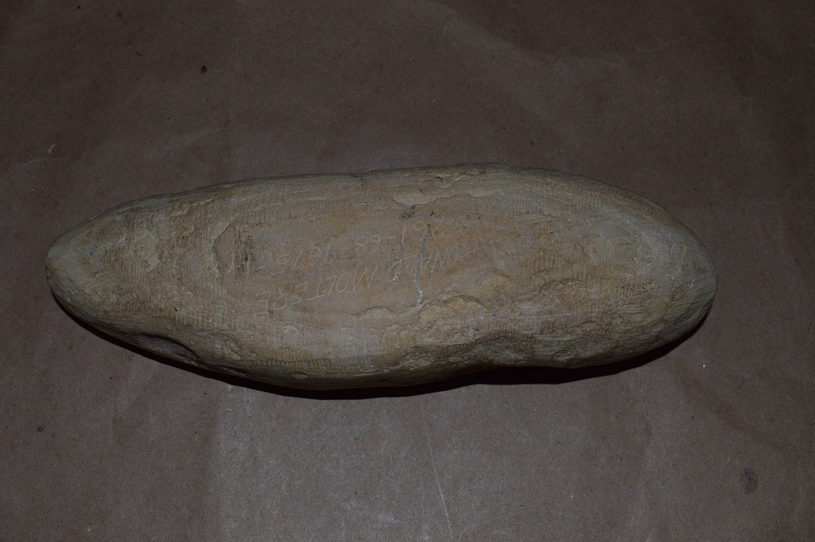 Fossilized Fish In Stone | Property Room