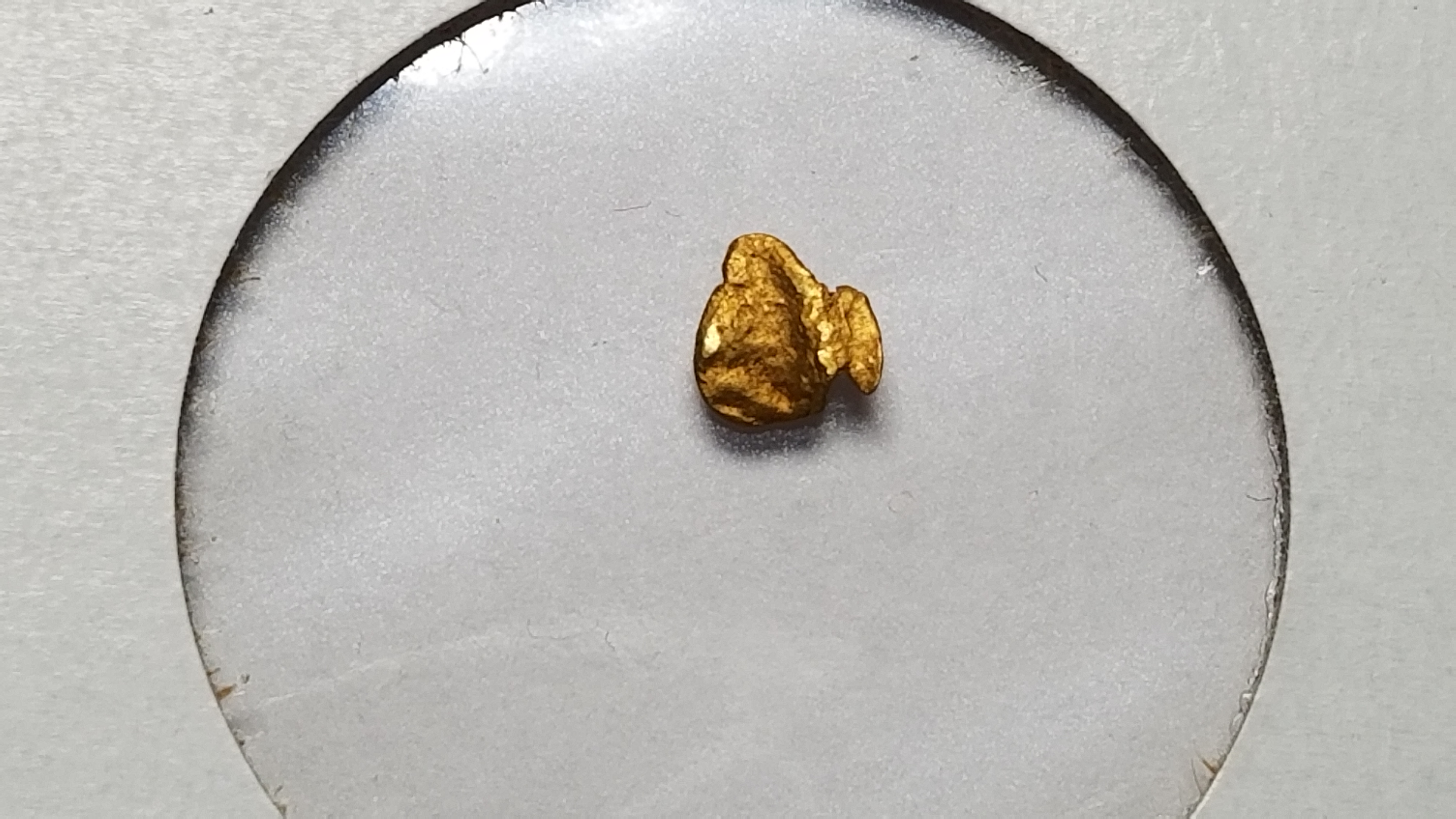 Alaska Gold Mini Nugget | Property Room