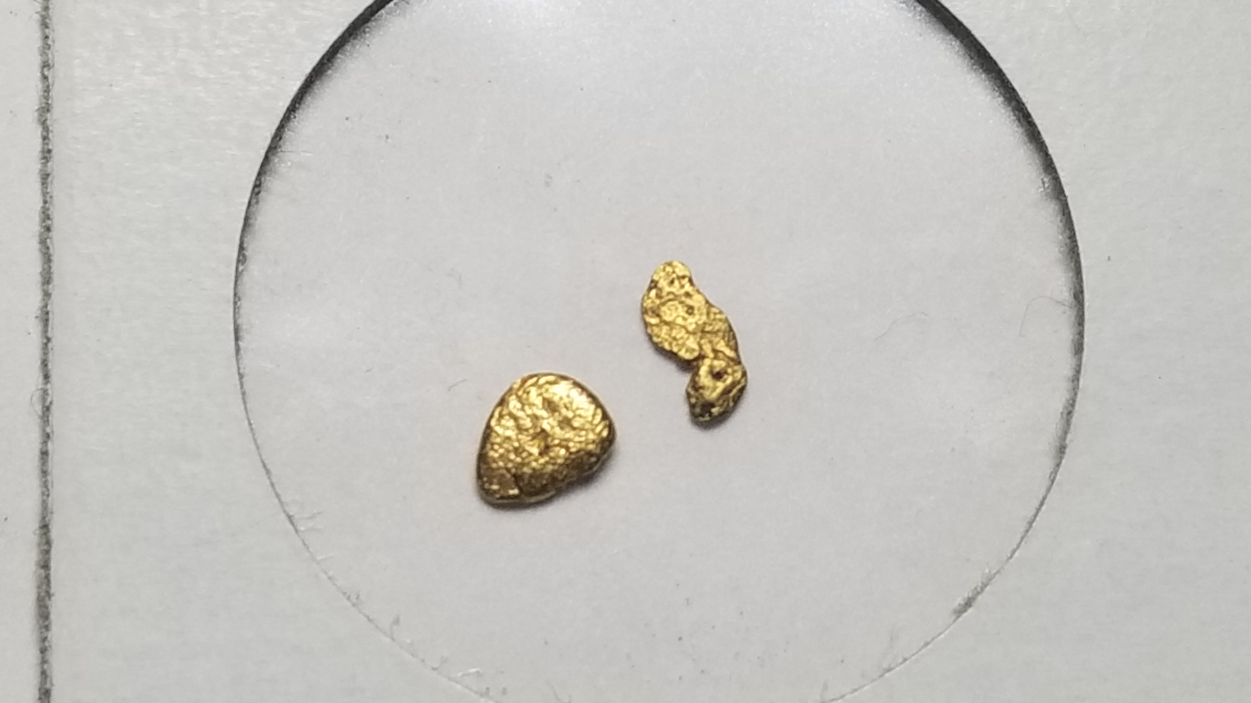 Alaska Gold Mini Nuggets Pure Gold | Property Room