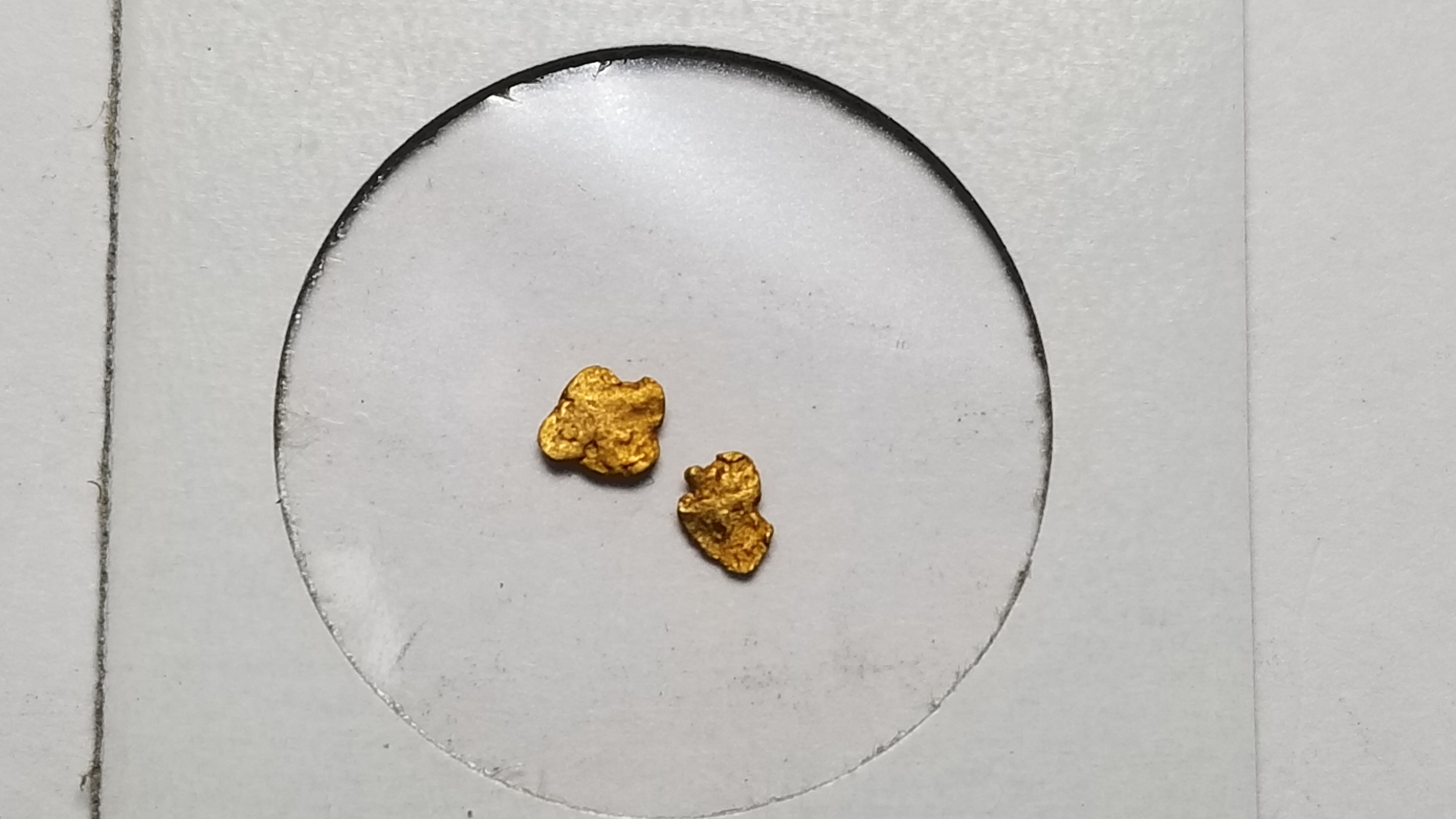 Alaska Gold Mini Nuggets Pure Gold | Property Room