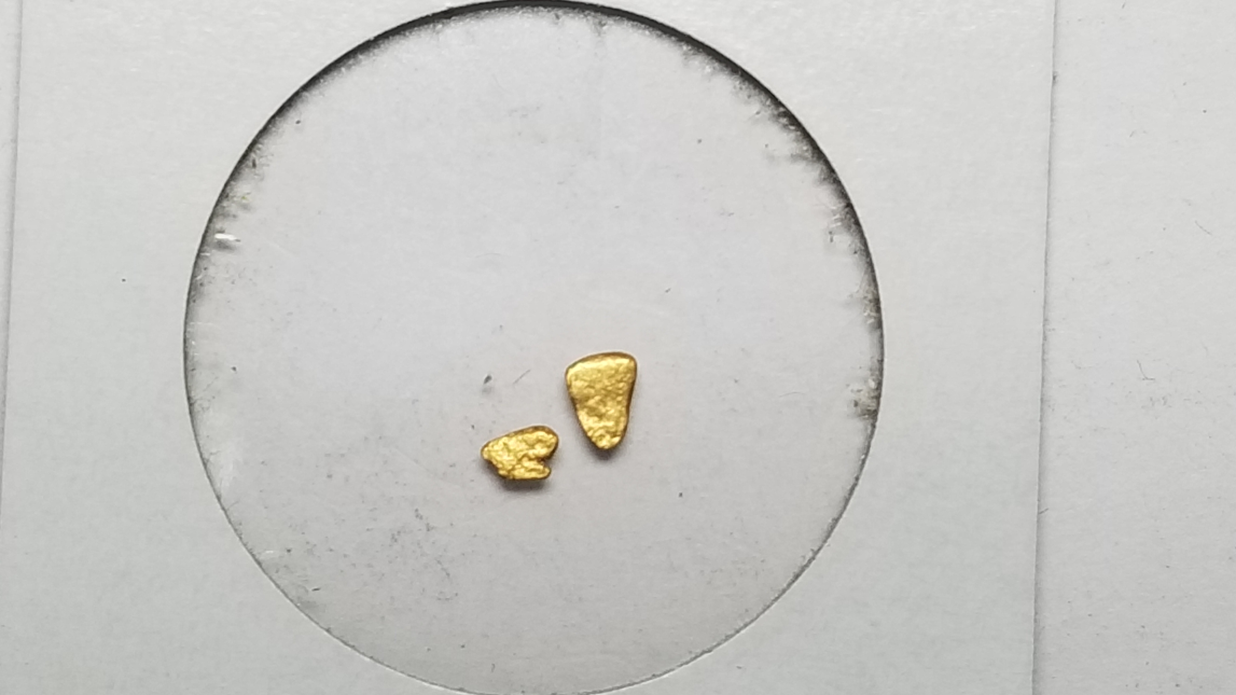 Alaska Gold Mini Nuggets Pure Gold | Property Room