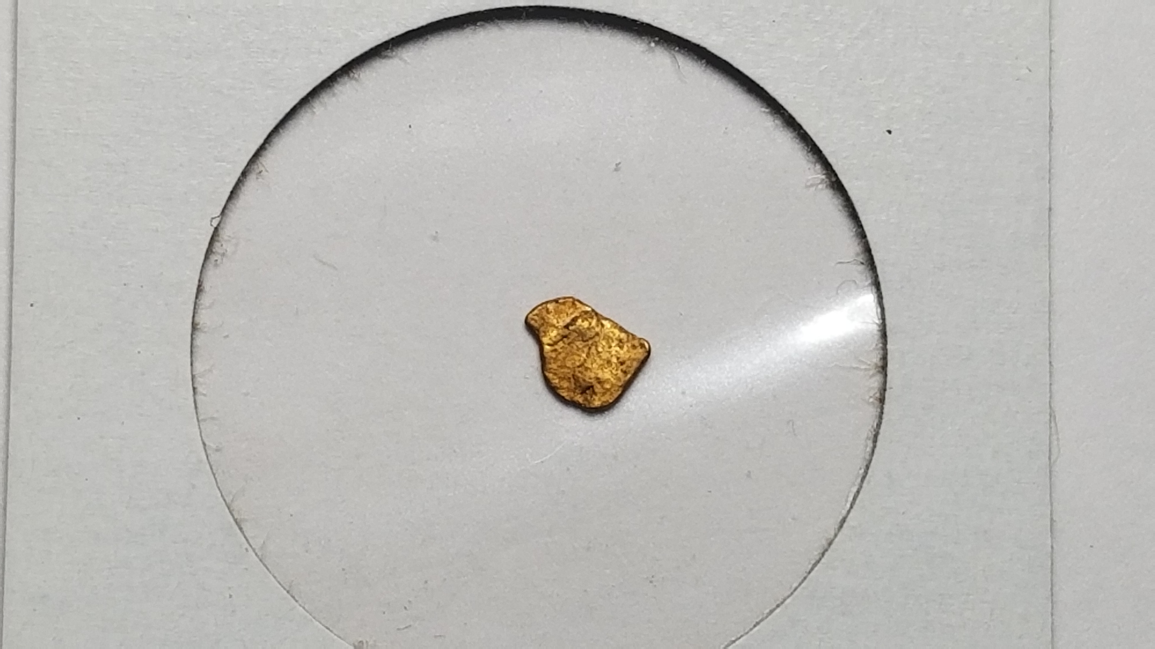 Alaska Gold Mini Nugget Pure Gold | Property Room