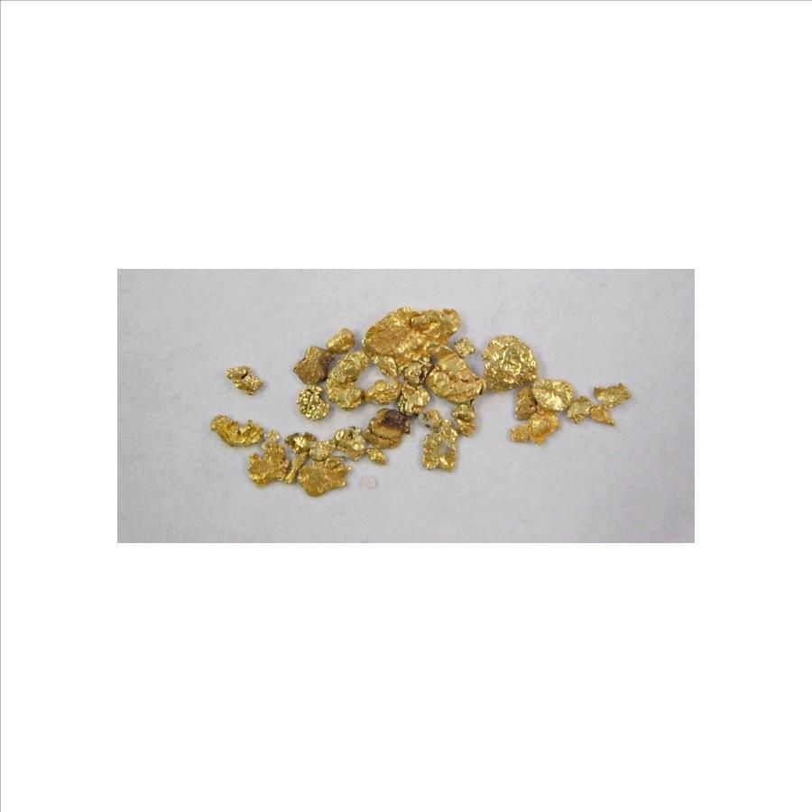 Total of .55 Grams Pure Gold Nuggets | Property Room