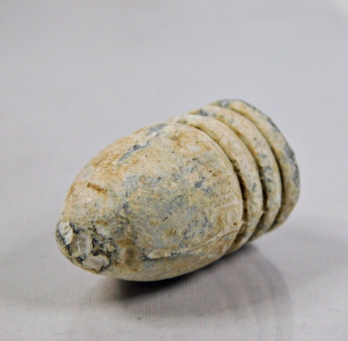 1800's Civil War Bullet | Property Room