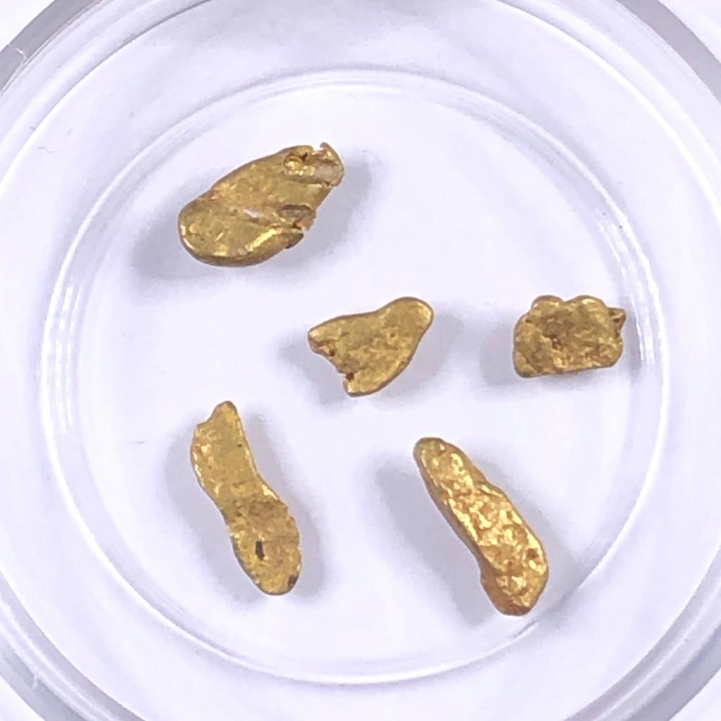 1.858 Grams Natural Gold Nuggets | Property Room