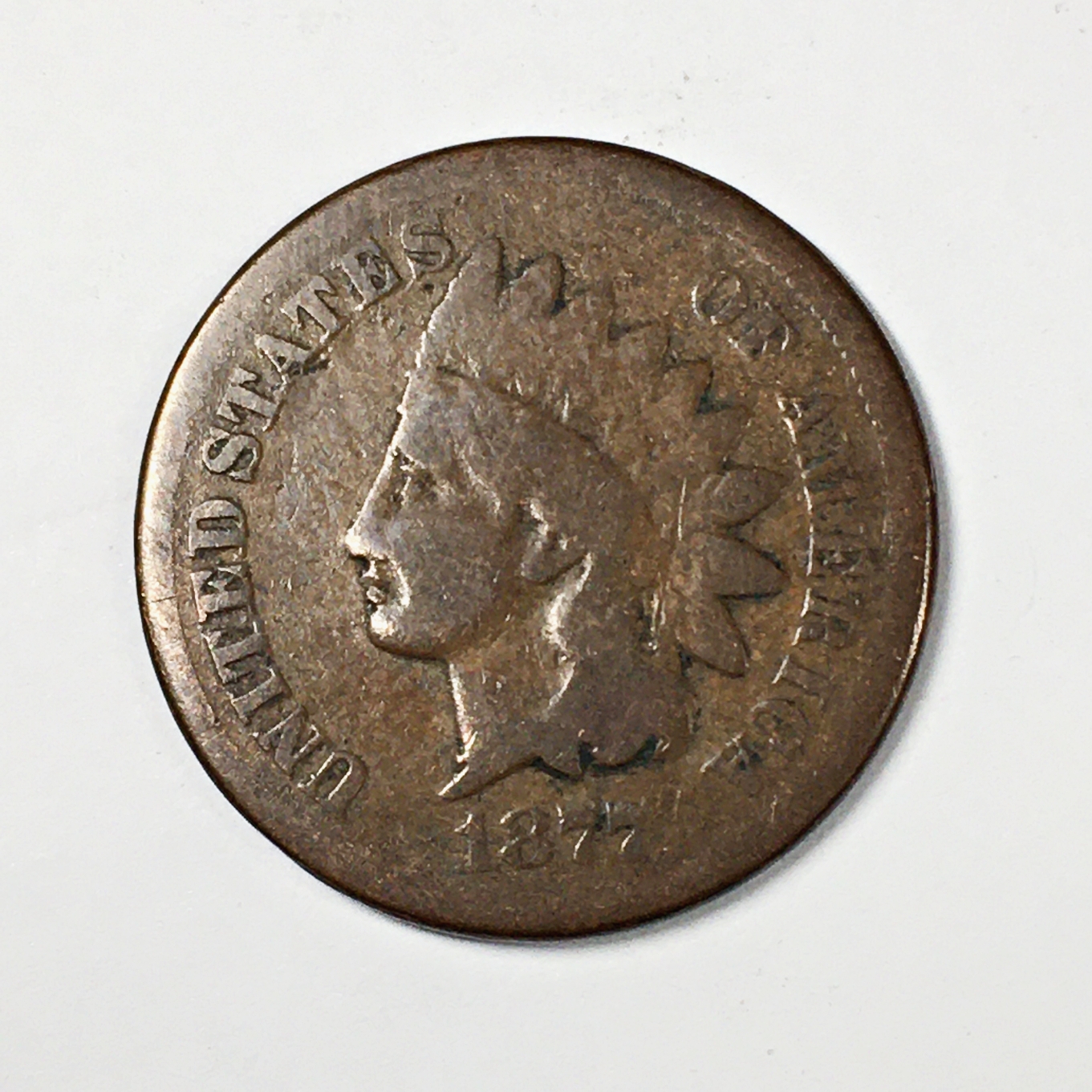 1877 Indian Head Cent*KEY DATE | Property Room