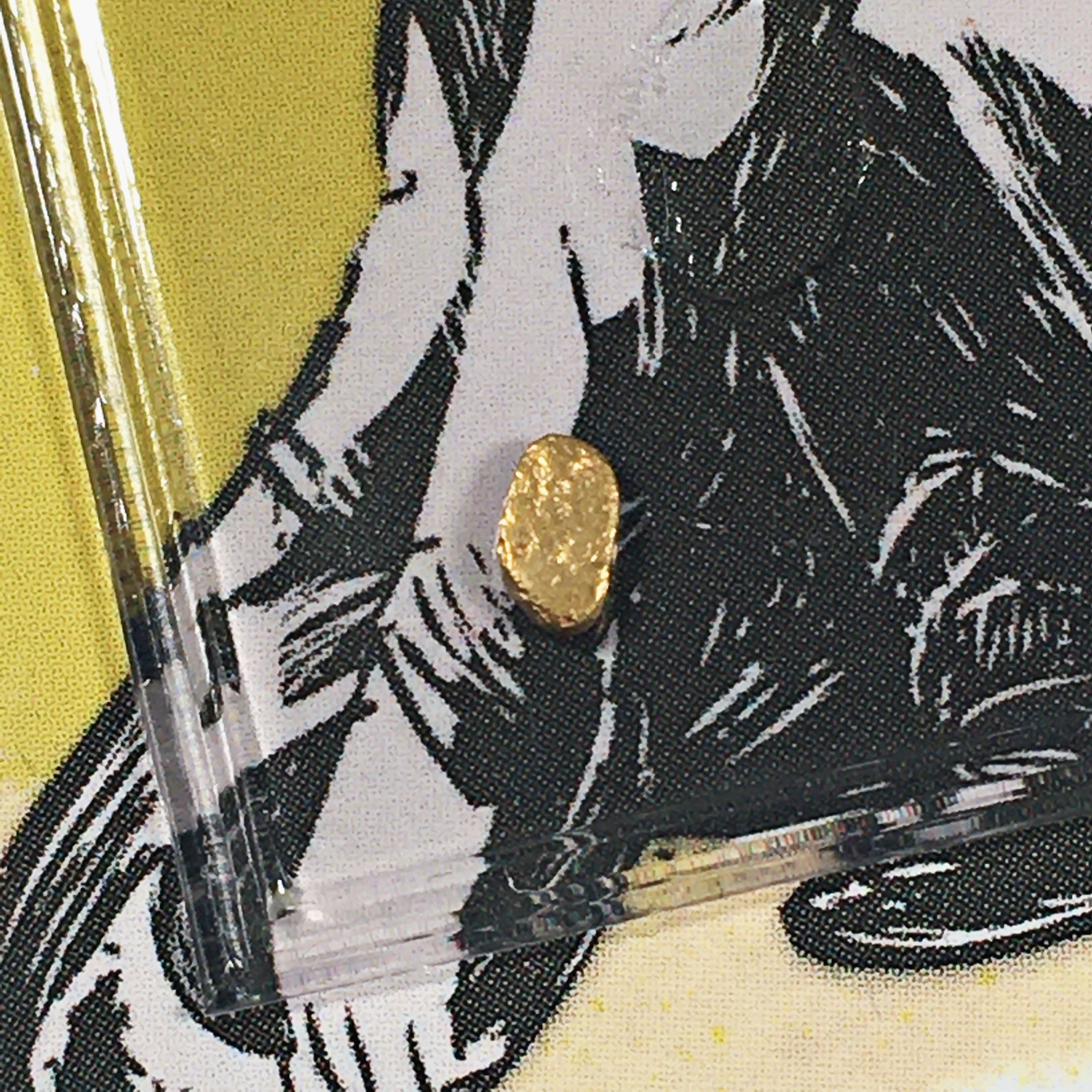 1914-1918 World War I*Authentic Piece of Battlefield Barbed Wire*On ...