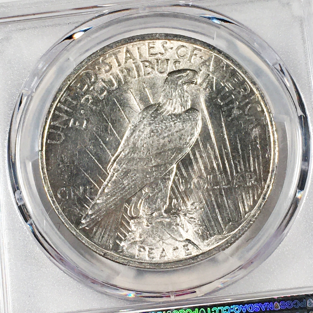 1923 Peace Silver Dollar*Graded MS61 by PCGS | Property Room