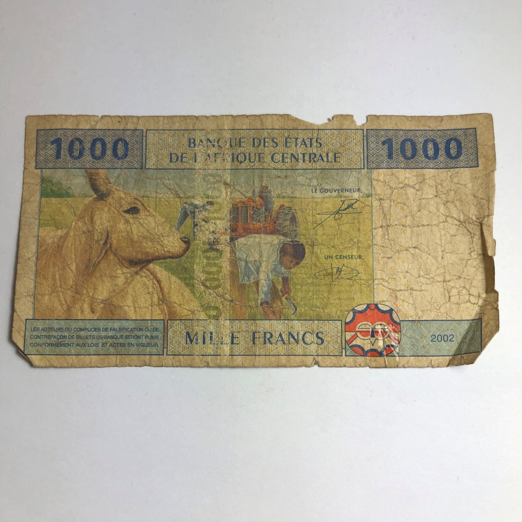 2002 Bank of Central Africa 1000 Francs *In protective sleeve ...