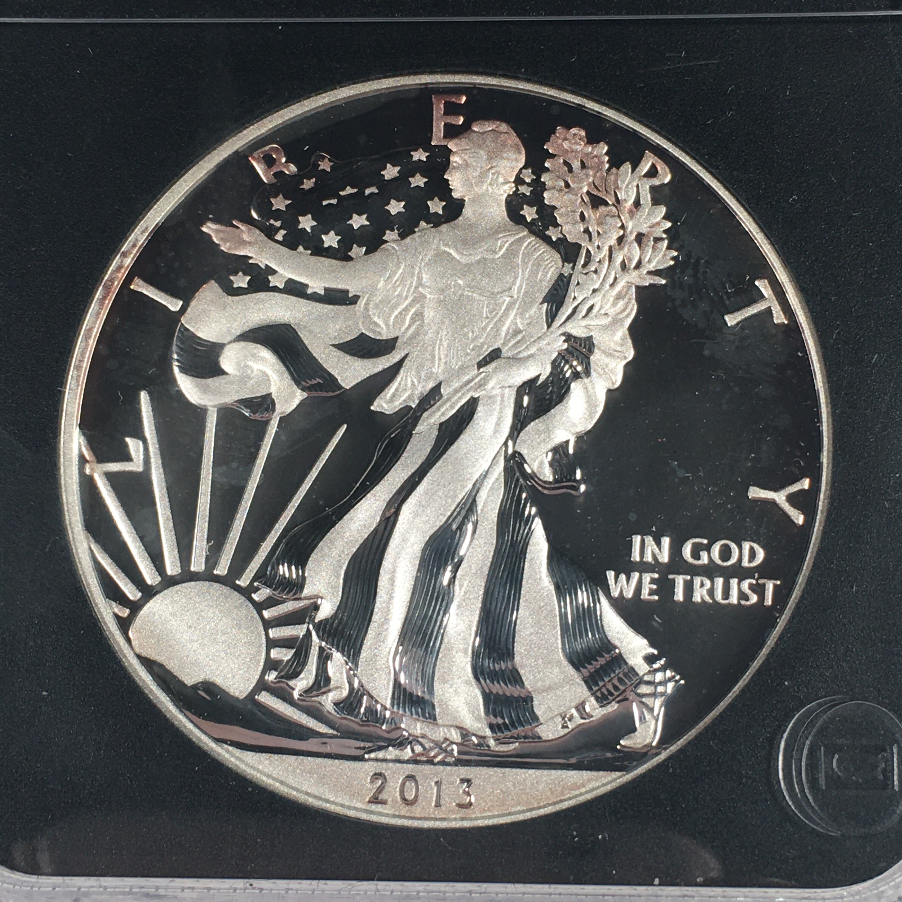 2013-W Reverse Proof American Silver Eagle*1oz .999 Fine Silver*Struck ...