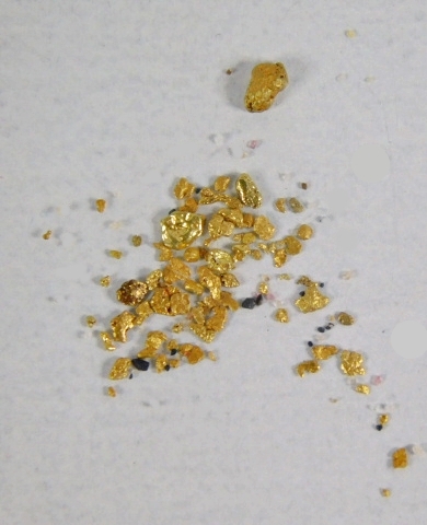 .29 Grams Pure Gold Nuggets | Property Room