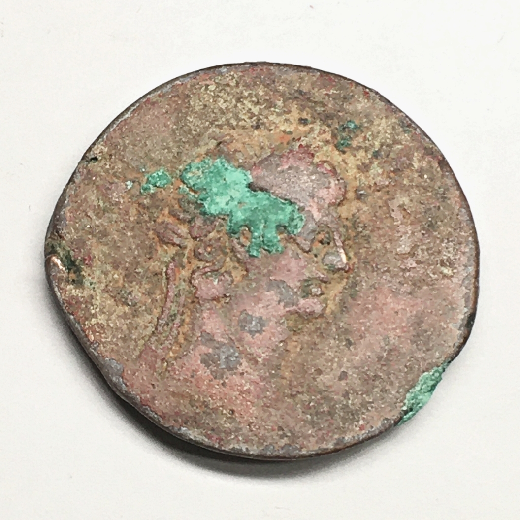 41-54 AD Claudius Bronze Dioboi*Roman Provincial Egypt | Property Room