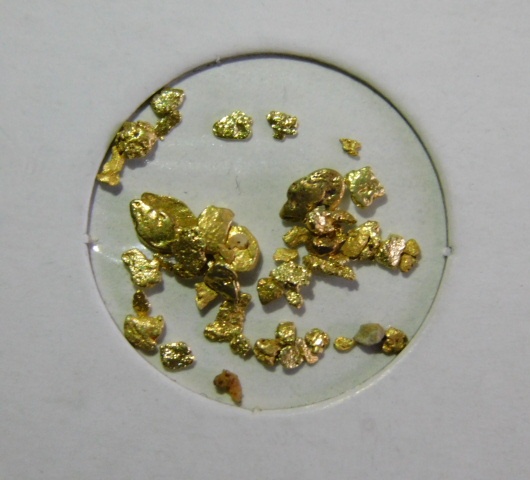 .67 Grams Pure Gold Nuggets | Property Room