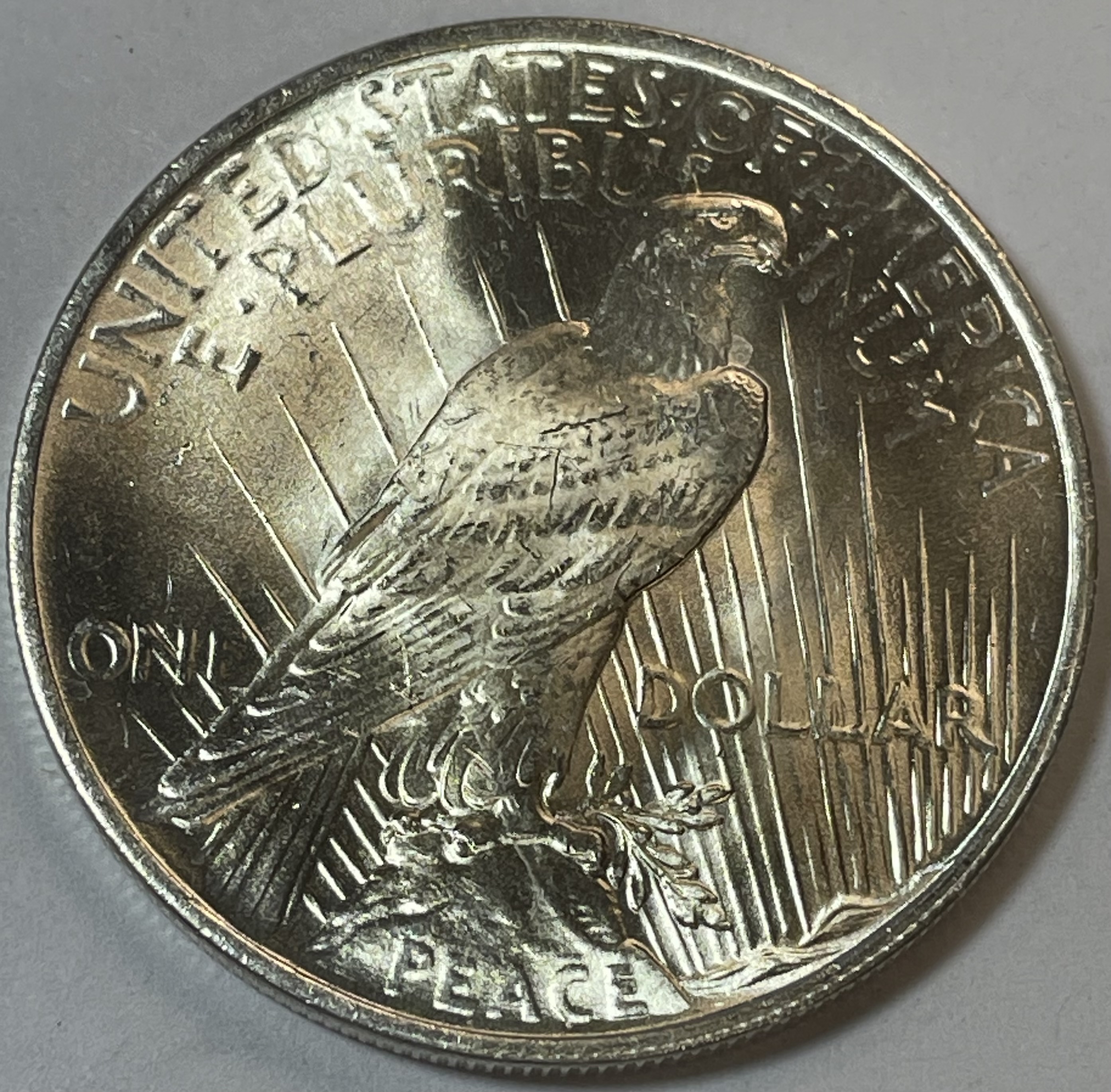 HIGH GRADE GEM Brilliant Uncirculated 1923 Silver Peace Dollar ...