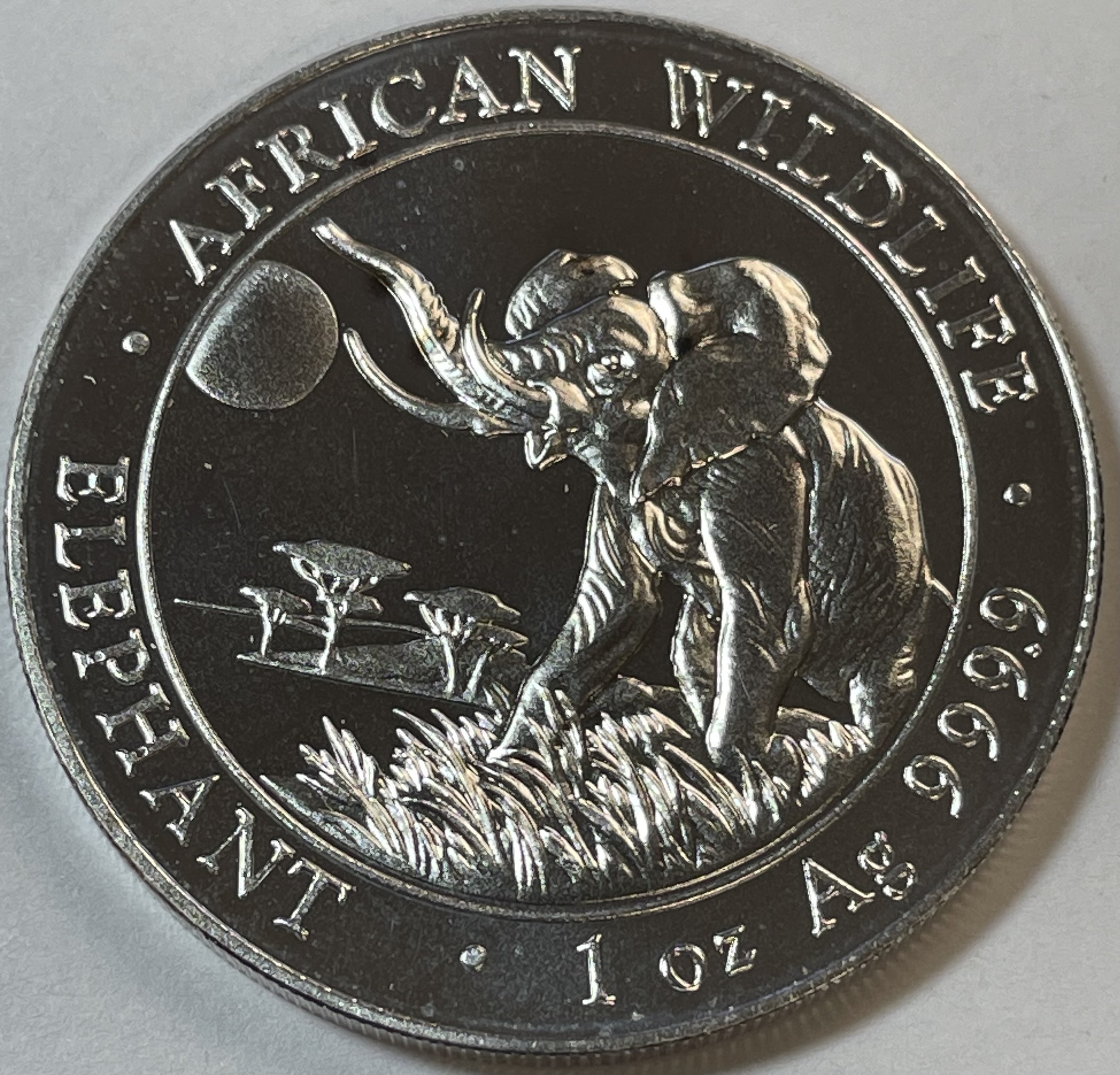 1 oz .9999 Fine Silver 2016 Elephant - African Wildlife - Somali ...