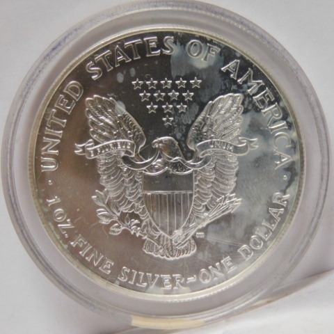 2000 Colorized $1 American Silver Eagle - 1 oz. .999 Fine Silver Dollar ...
