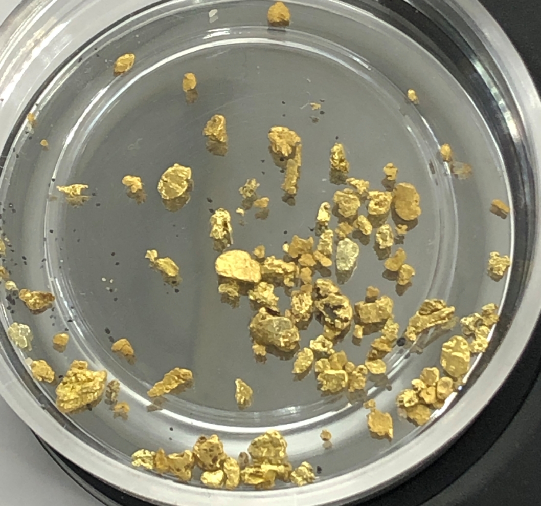 20 Grains of High Purity Natural Placer Gold | Property Room
