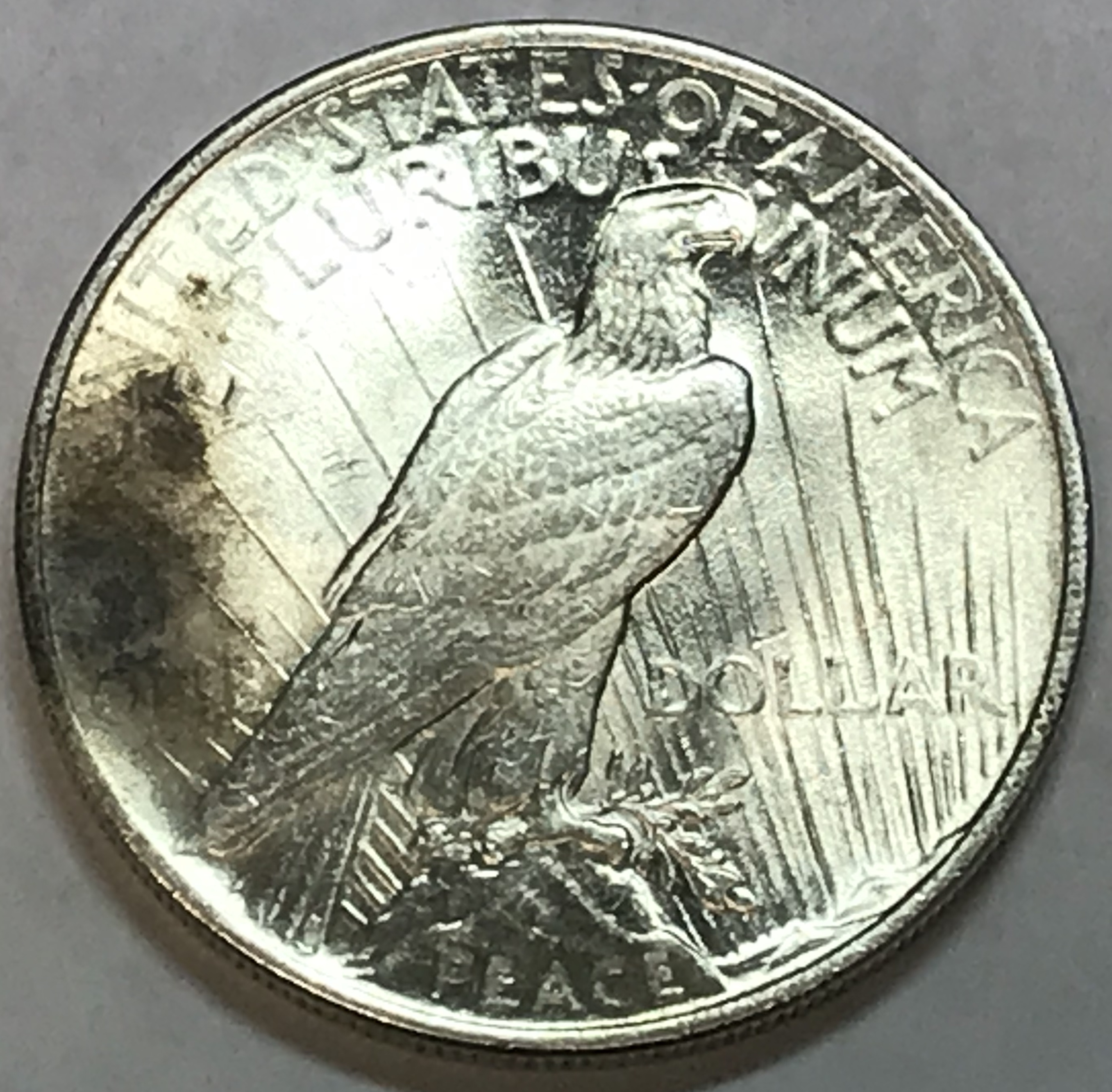 1924 Silver Peace Dollar - High Grade w/ Cartwheel Luster | Property Room