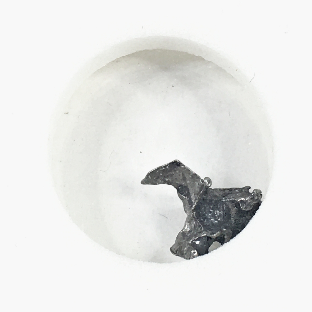 Authentic Meteorite ALEIN SHAPED Space Rock*Discovered in 1576 AD at ...