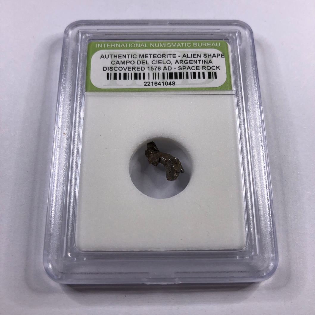 Authentic Meteorite- Alien Shape Campo Del Cielo, Argentina Discovered ...