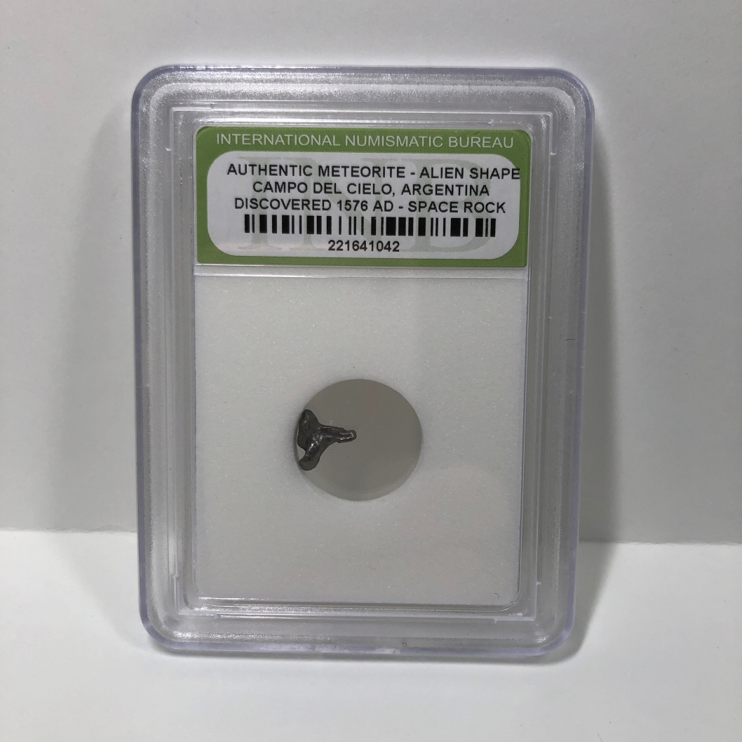 Authentic Meteorite ALIEN SHAPED Space Rock*Discovered in 1576 AD at ...