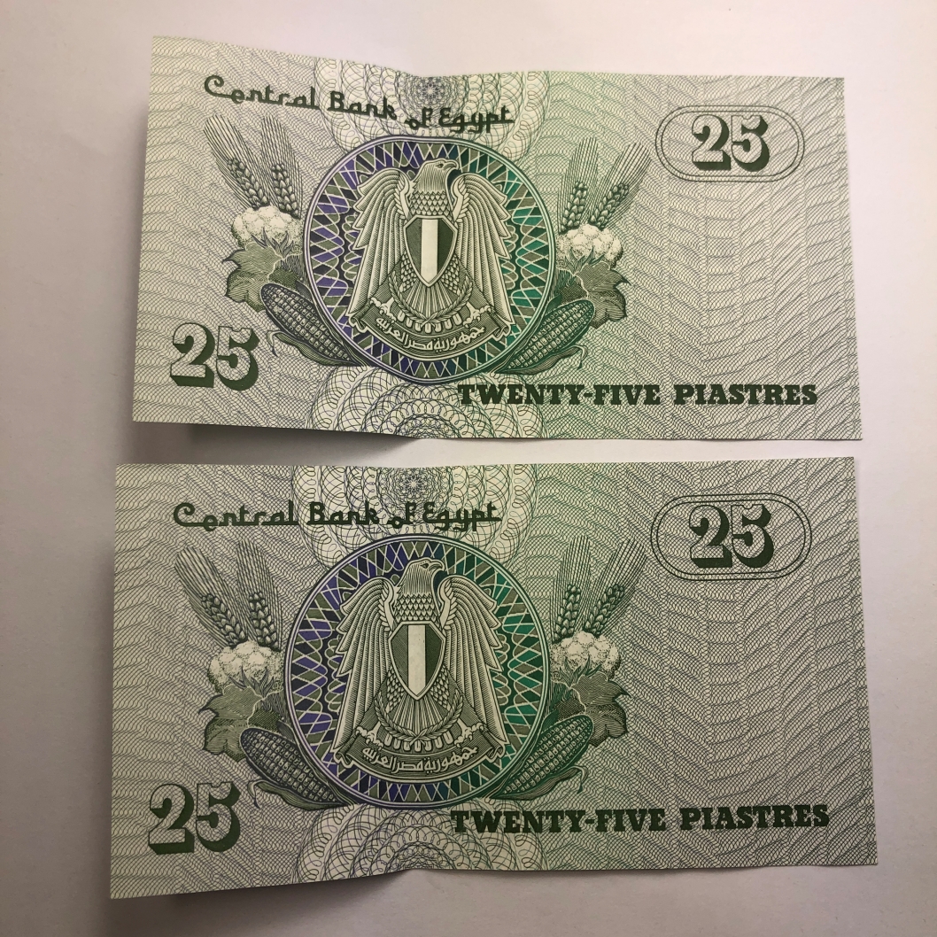 Bank of Egypt 25 Piastres Banknotes in Protective Sleeve | Property Room