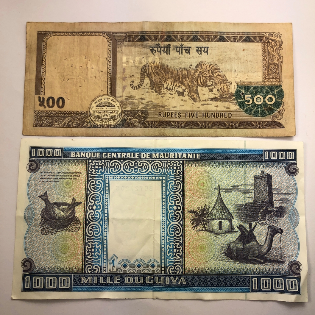 Mauritanie 1000 Ouguiya Note & Nepal 500 Rupees Note in protective ...