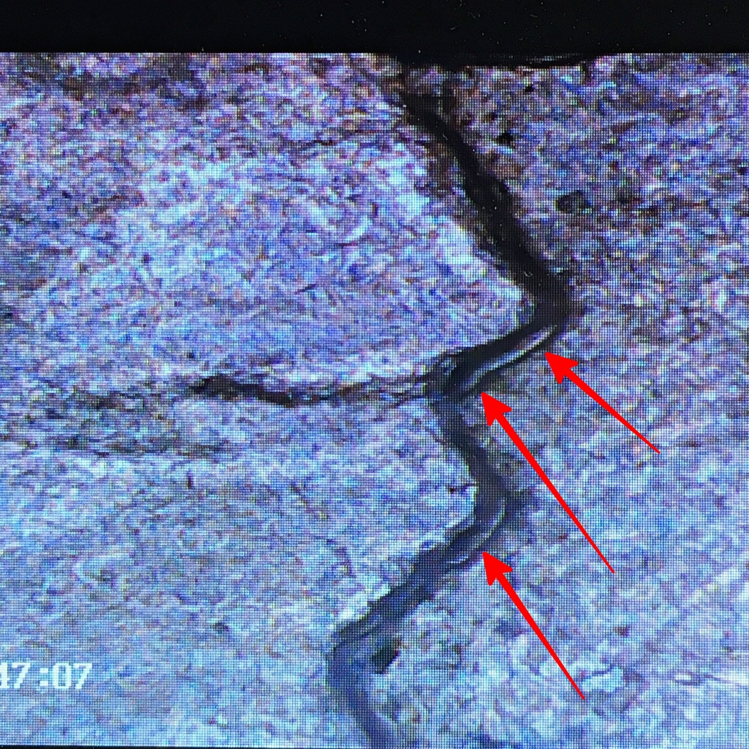 MINT ERROR*1913 Type II Buffalo Nickel*Rotated Die AND Double Die ...