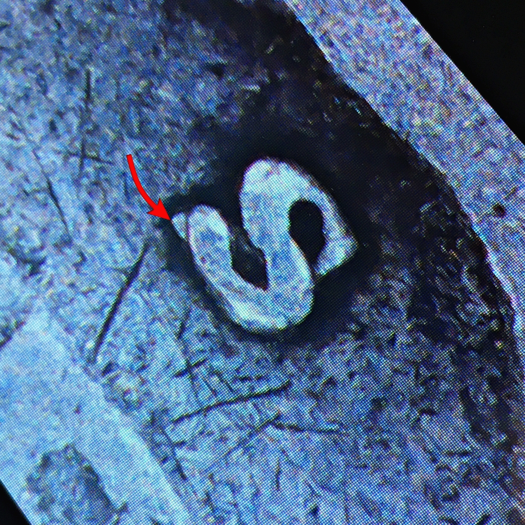 MINT ERROR*1948-S/S REPUNCHED MINT MARK (minor variety) Silver ...