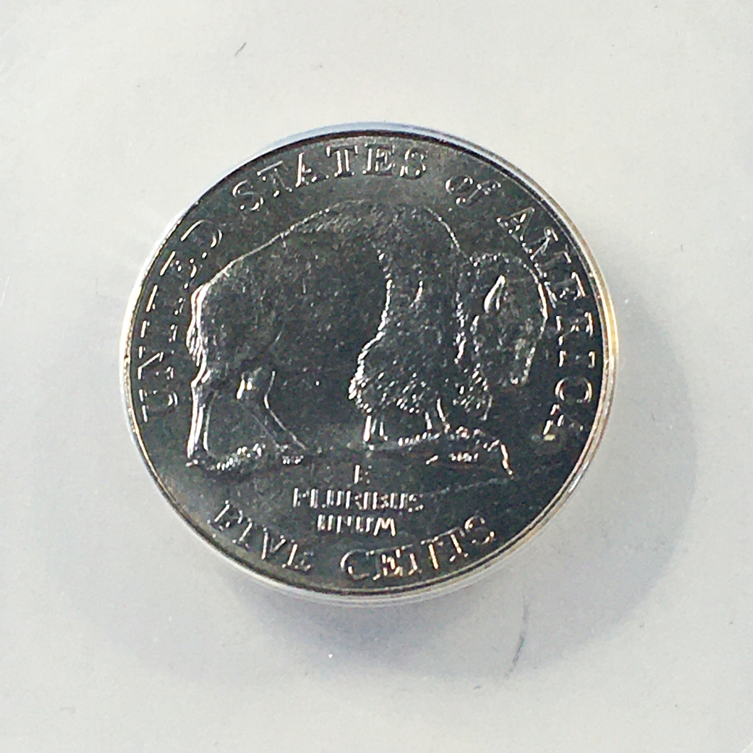 MINT ERROR*Bison Detached Leg*2005-D American Bison Commemorative ...