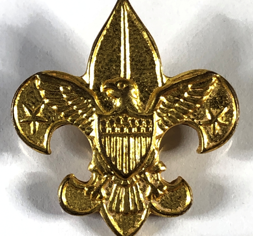 Vintage Boy Scout Pin*Gold Plate | Property Room