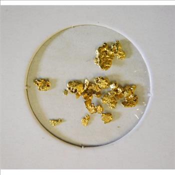 .31 Grams of Pure Gold Nuggets | Property Room