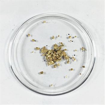 .31 grams Pure Gold Nuggets | Property Room