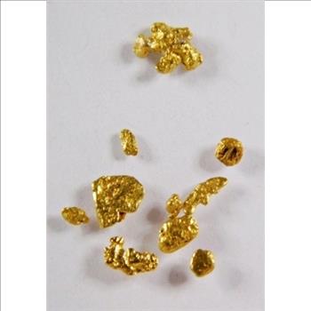 .31 Grams Pure Gold Nuggets | Property Room